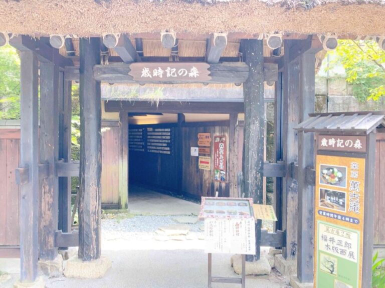 下呂温泉合掌村の森の滑り台（全長175メートル）で遊んできた【壮絶体験談】 | hachiko85ライフ