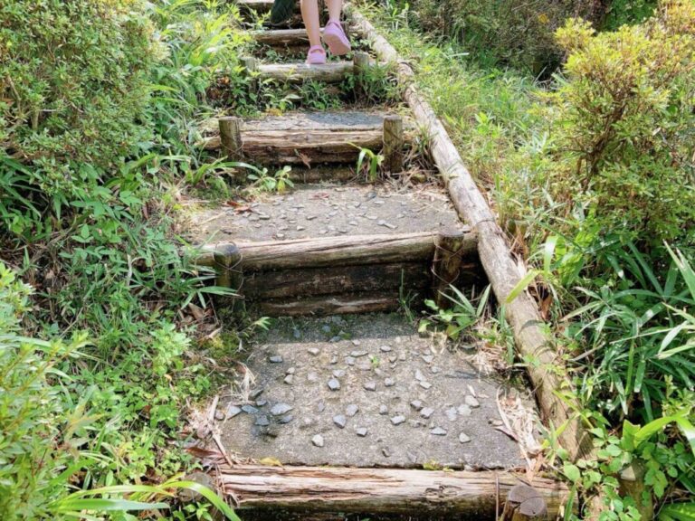 下呂温泉合掌村の森の滑り台（全長175メートル）で遊んできた【壮絶体験談】 | hachiko85ライフ