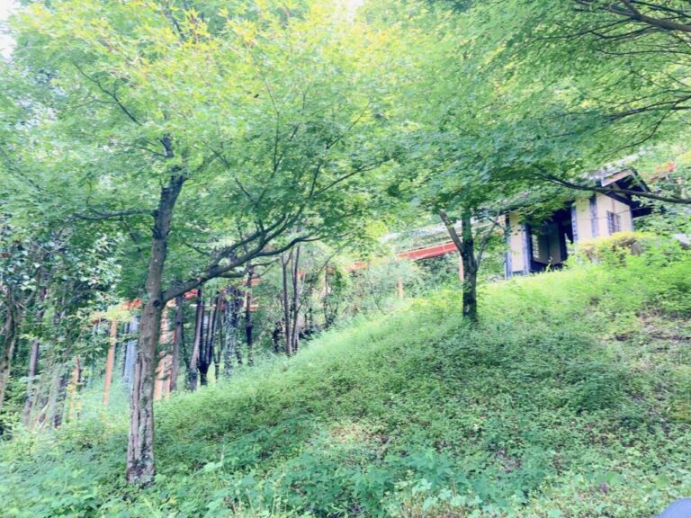 下呂温泉合掌村の森の滑り台（全長175メートル）で遊んできた【壮絶体験談】 | hachiko85ライフ